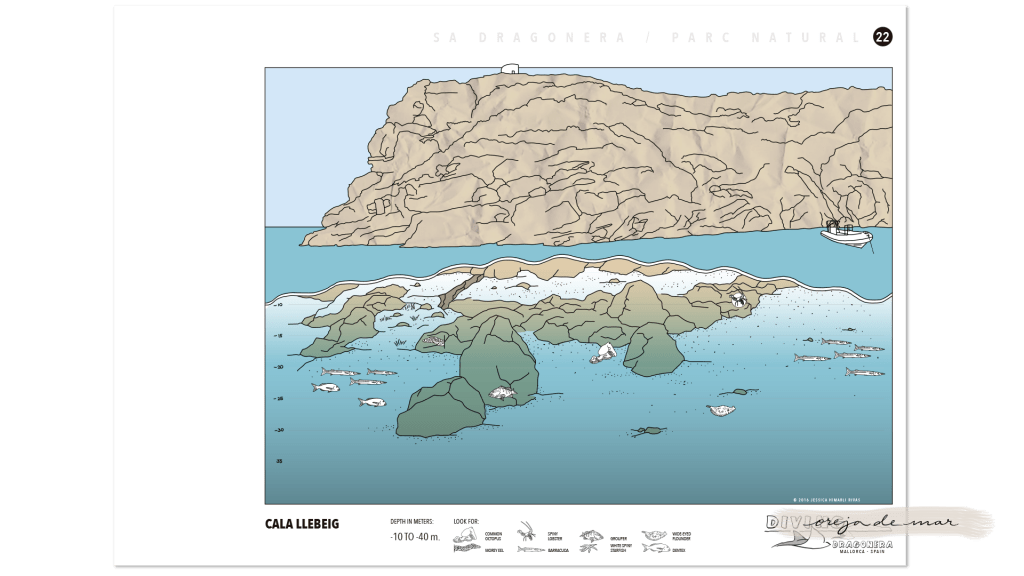 Mapas submarinos ilustrados de Mallorca » Oreja de mar
